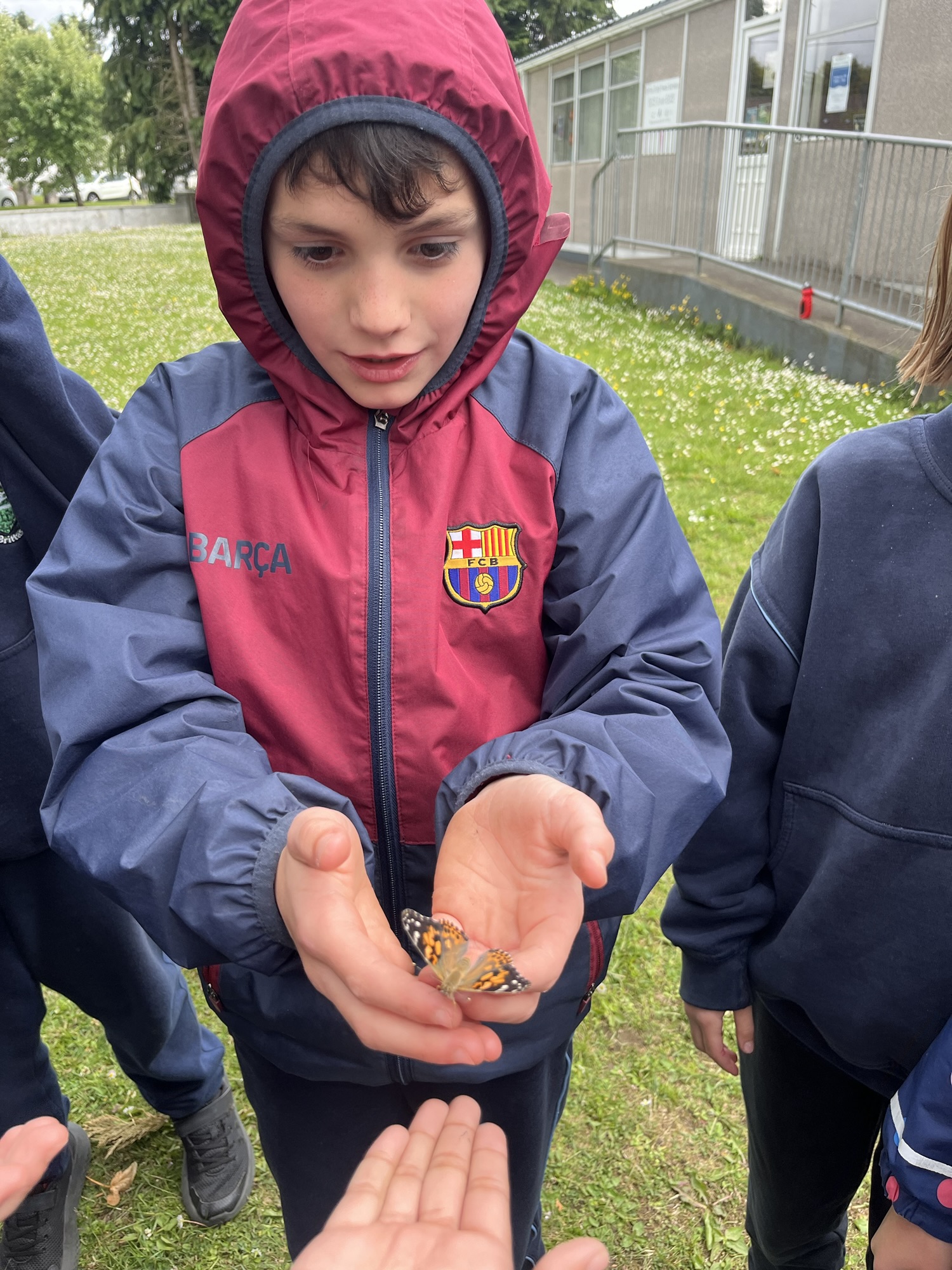 Our Butterflies 🐛🦋 – Saint Martin's National School